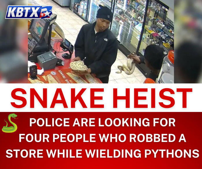 Python Wielding Robbers - 9GAG
