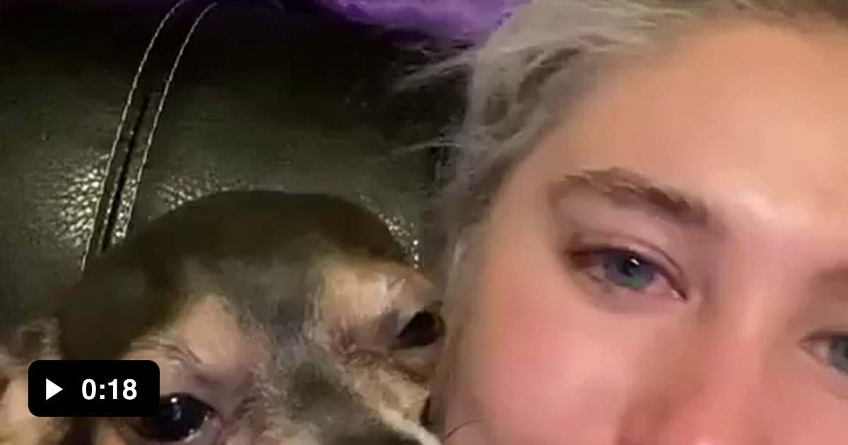 He loves to be given affection - 9GAG