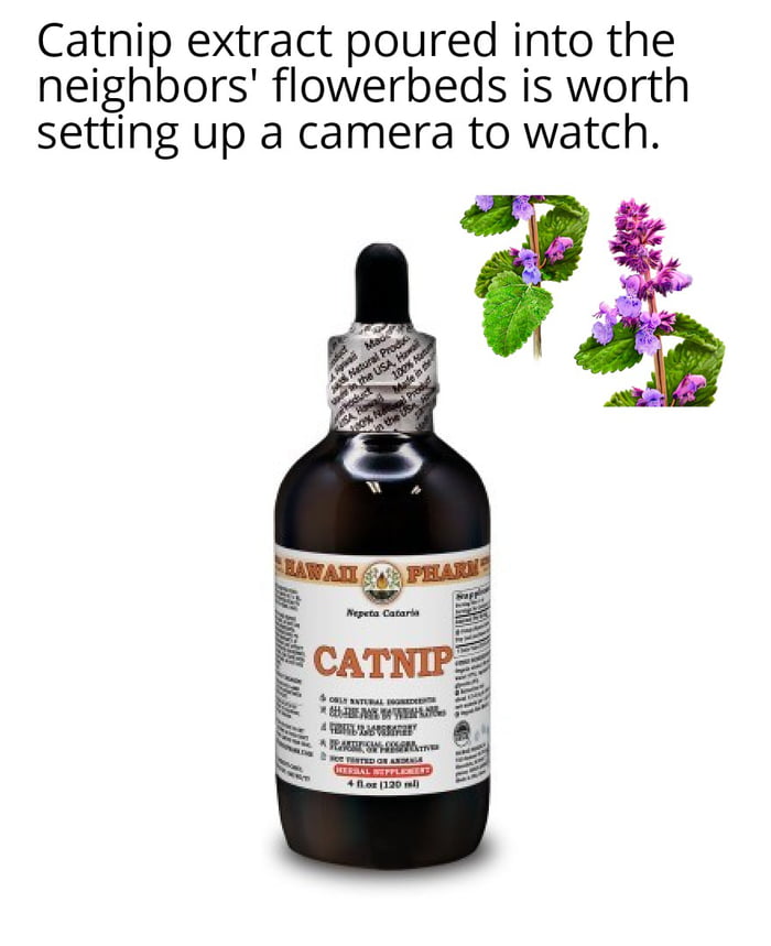 Summon the Poop Patrol! - 9GAG