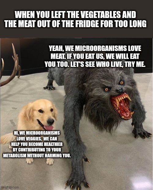 Your body is a temple made of meat - 9GAG