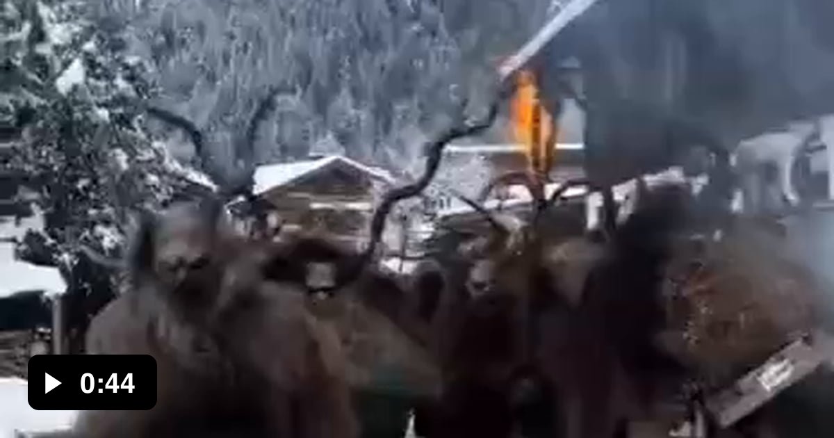 The Krampus Christmas parade in Norway 🇳🇴 - 9GAG