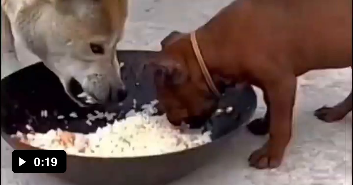 Small vs Large - 9GAG