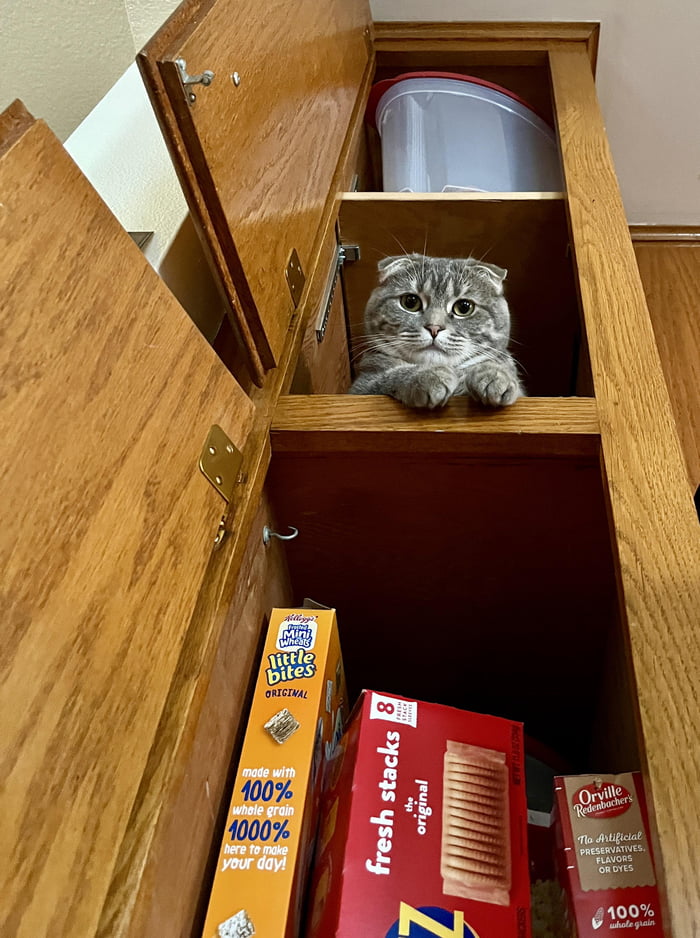 Kitchen Organizer - 9GAG