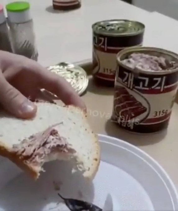 BILD reports that dog meat is already being supplied to the Russian ...