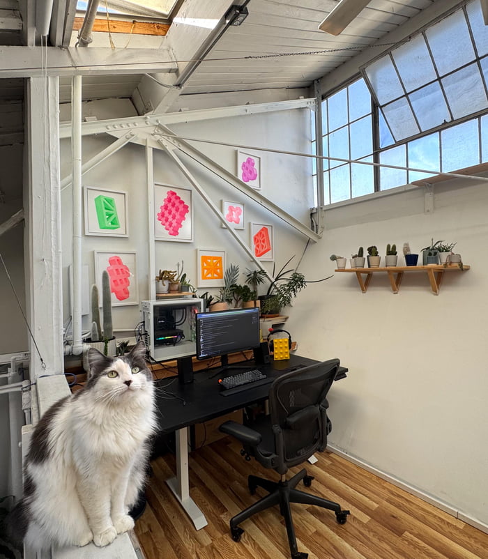 Current cozy loft setup with plants and lots of natural light - 9GAG