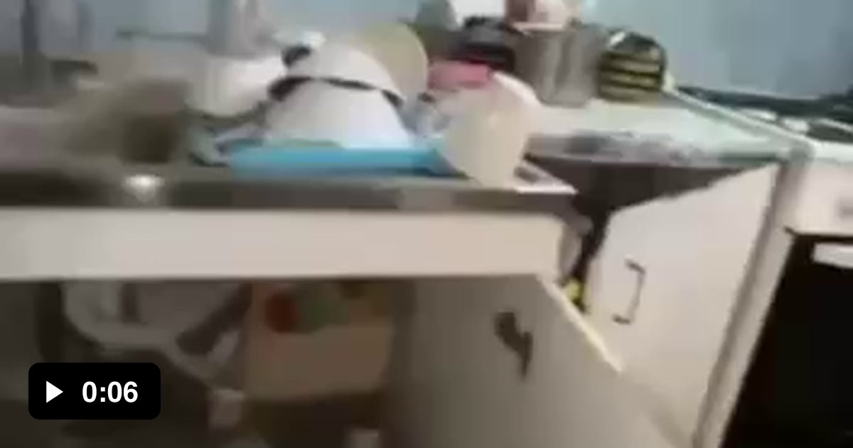 Nice mouse attack - 9GAG