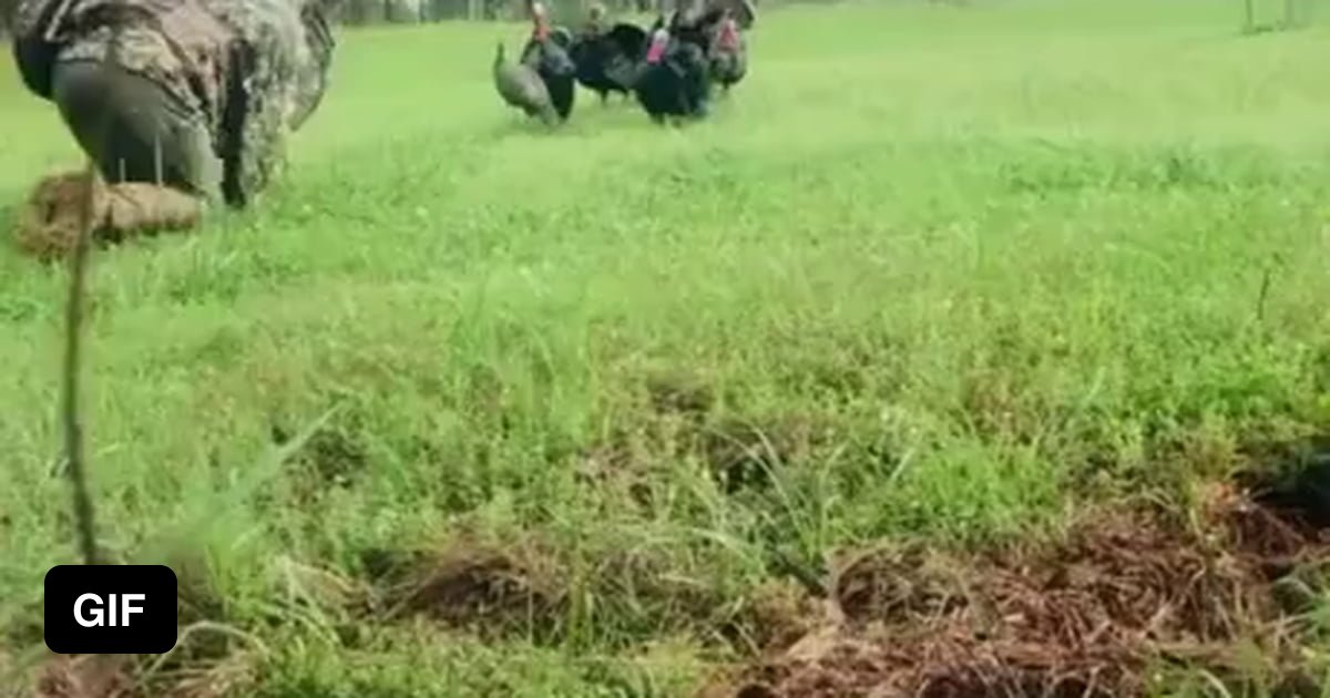 Nice hunting skills - 9GAG