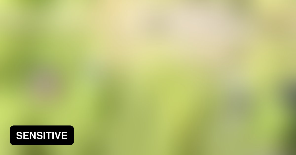 Worst camera man ever!!! - 9GAG