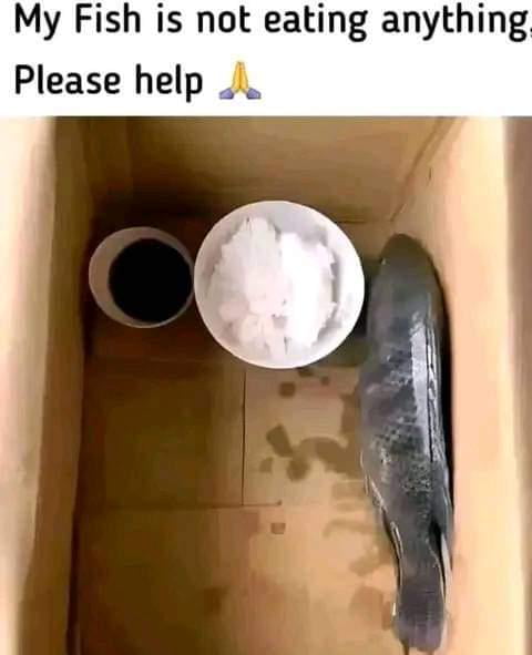 Please Help. - 9GAG
