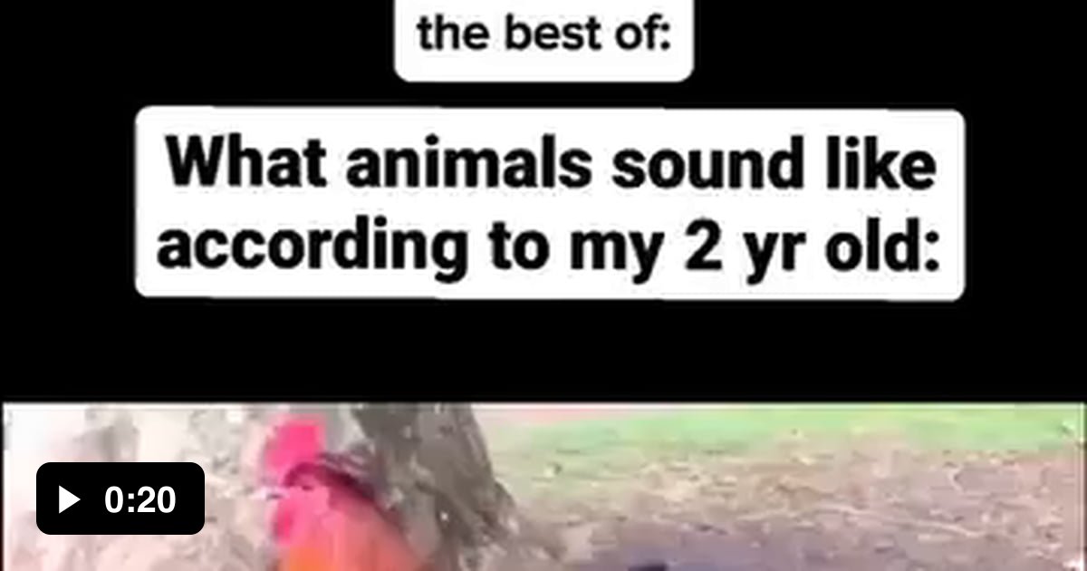 Alan, Alan, that's not Alan, STEVE - 9GAG