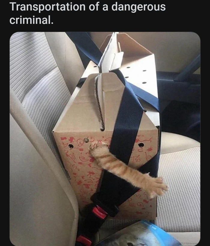 Prisoner is clawed and extremely dangerous, highest level of security detail mandatory. - 9GAG