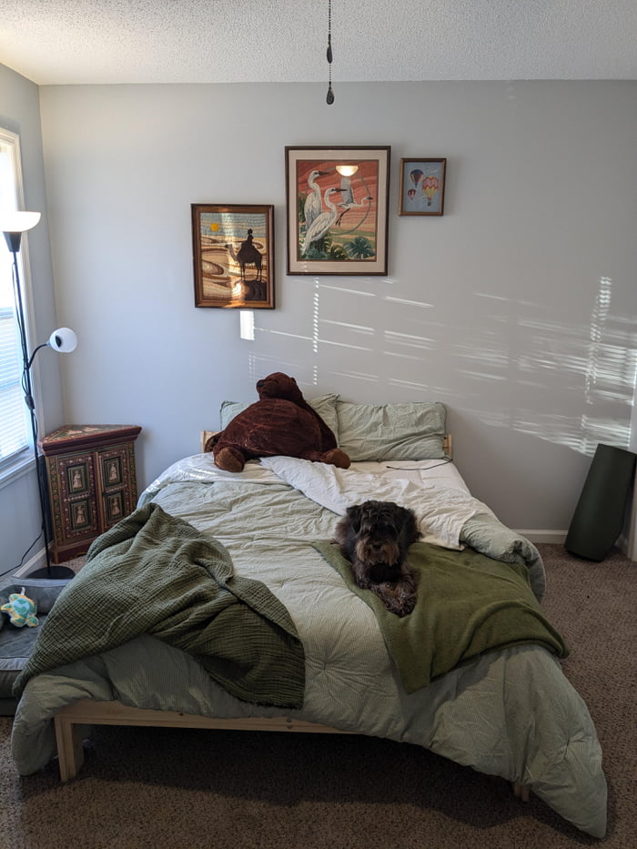 First apartment, starting to put things in their places - 9GAG