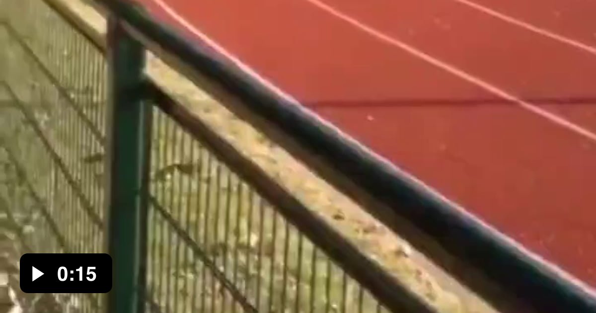 What is this? Wrong answer only. - 9GAG