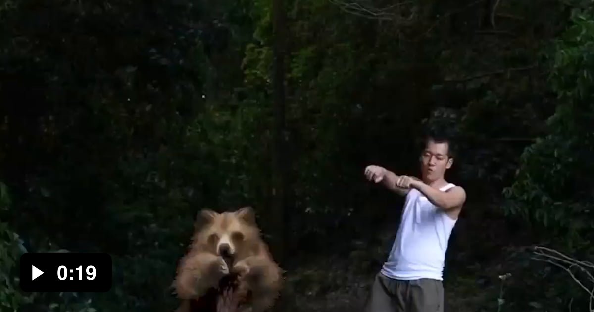 When you chose the bear - 9GAG