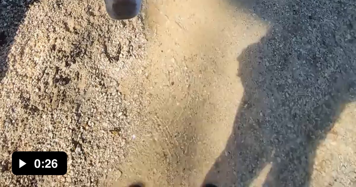 Sandy tippy taps - 9GAG