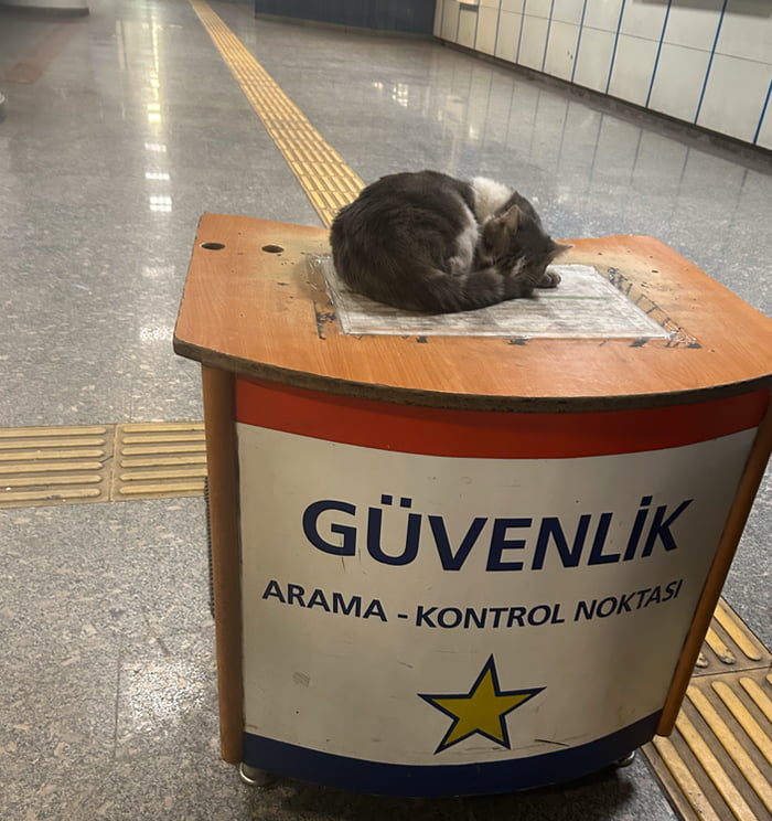 Subway security sleeping on the job - 9GAG