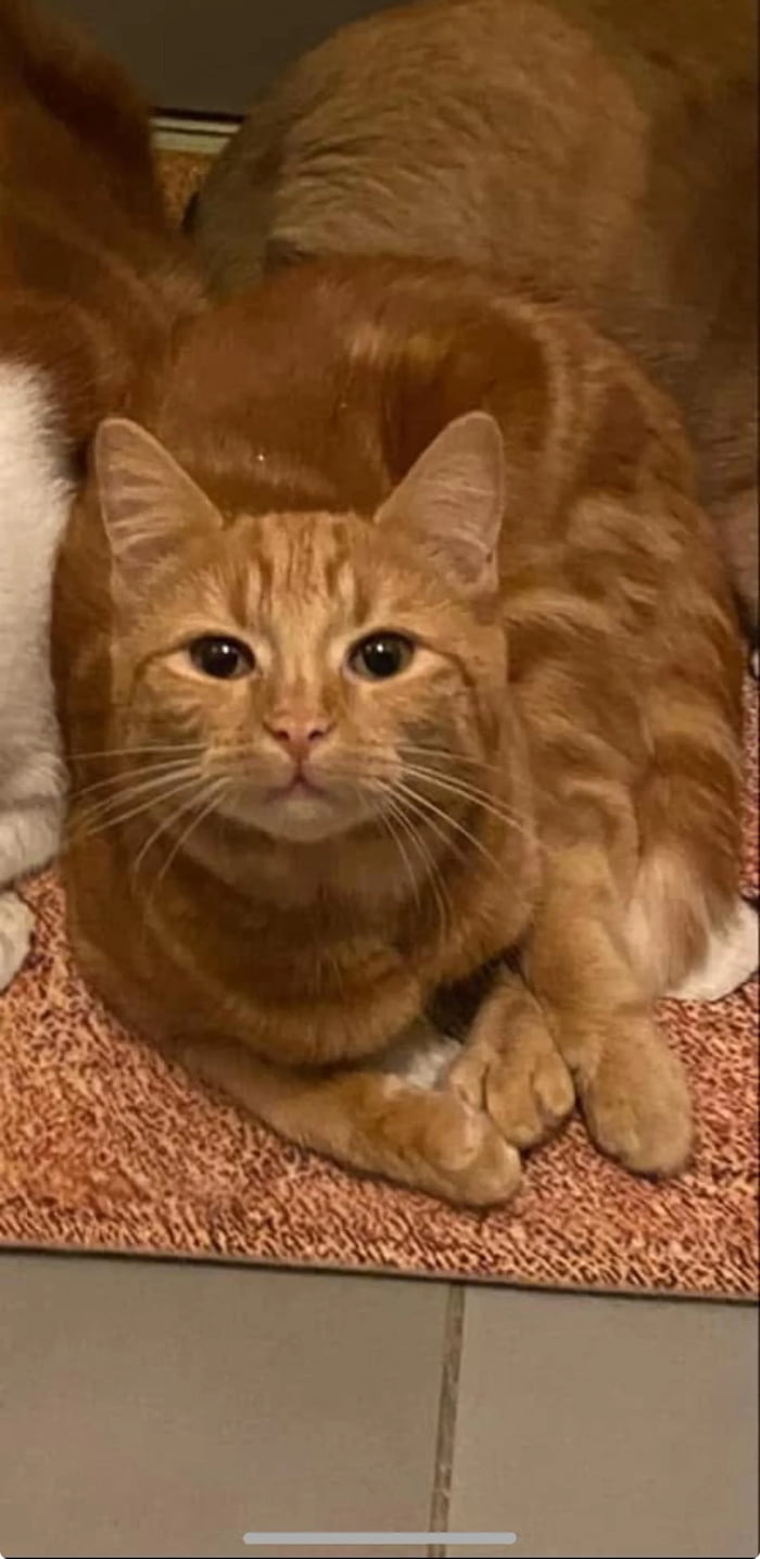 Does anyone know any fun names for this princess? - 9GAG