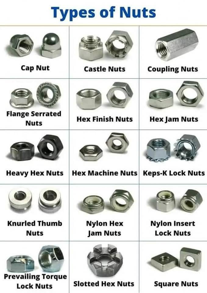 A Cool Guide to Nuts - 9GAG