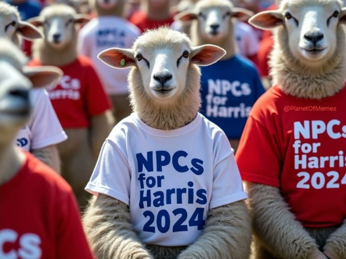 The low IQ GoodGuy(tm) woke brigade - 9GAG