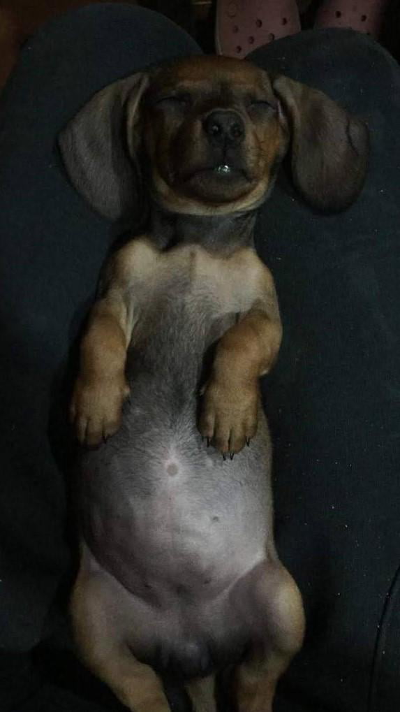 Her belly drives me crazy, she's so pretty - 9GAG