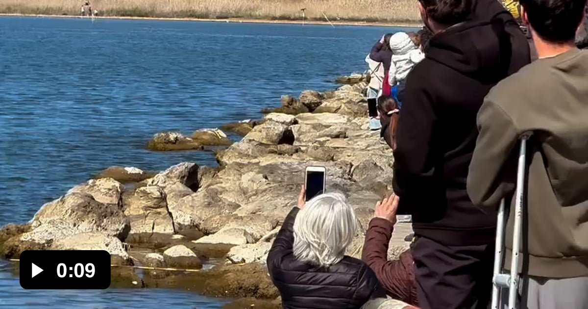 Feeling the full power of the Solotürk F-16 up close - 9GAG