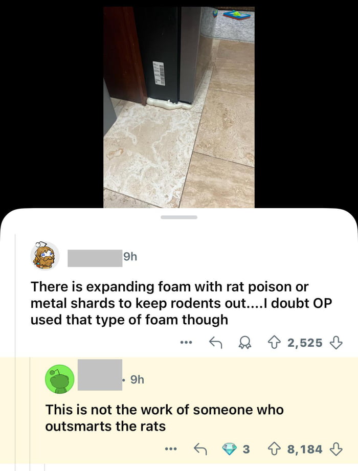 Rats vs expanding foam: a battle for the ages - 9GAG