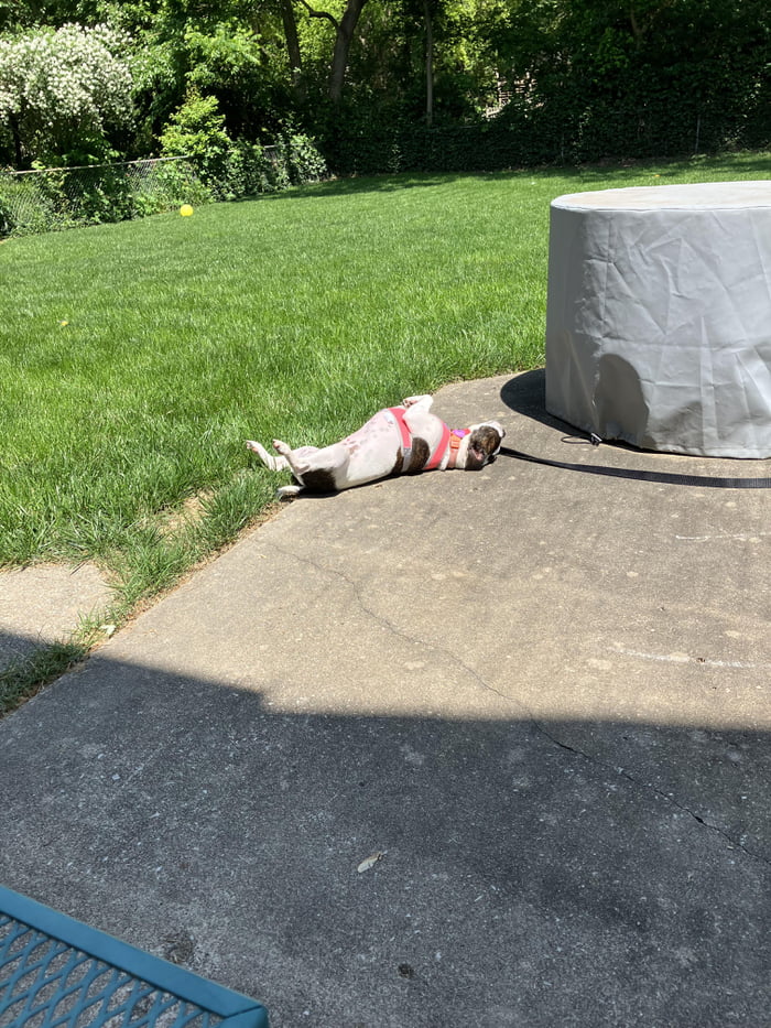 When it’s warm outside - 9GAG