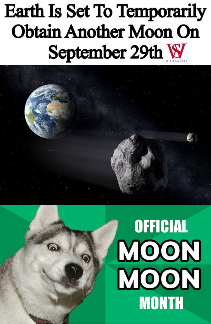 Derp you derpest moon moon memes to honor derp month... - 9GAG