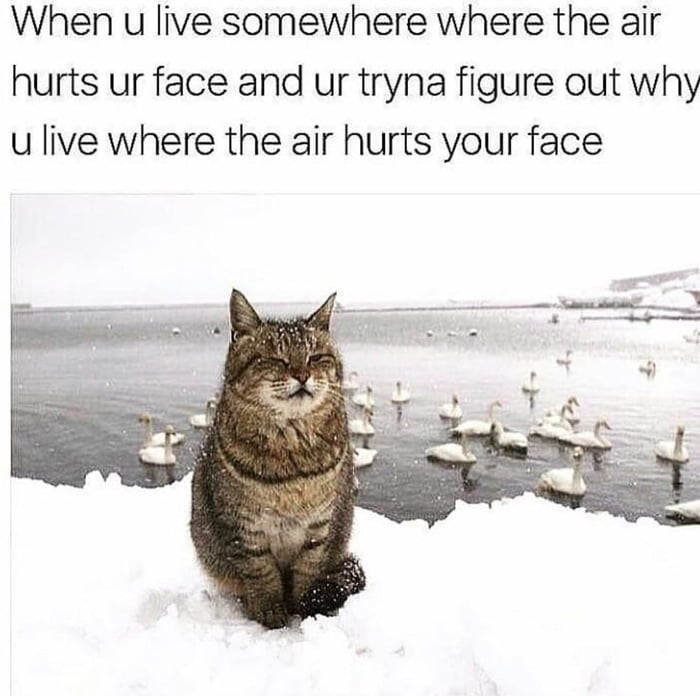 Posting memes I found on my smartphone until I get bored or die #727 - 9GAG