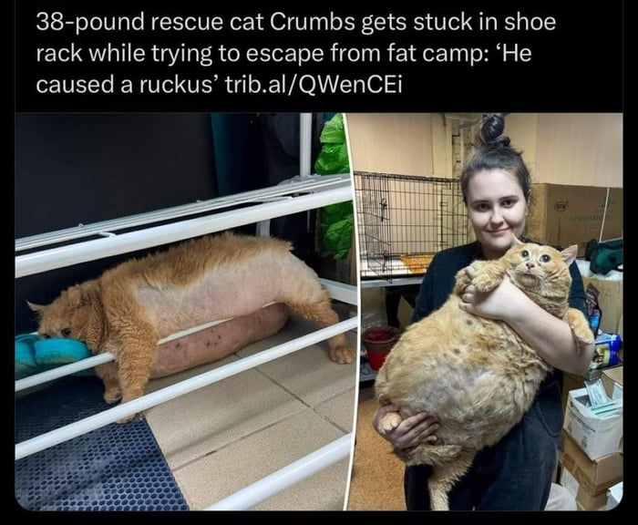 Free my homie crumbs! - 9GAG