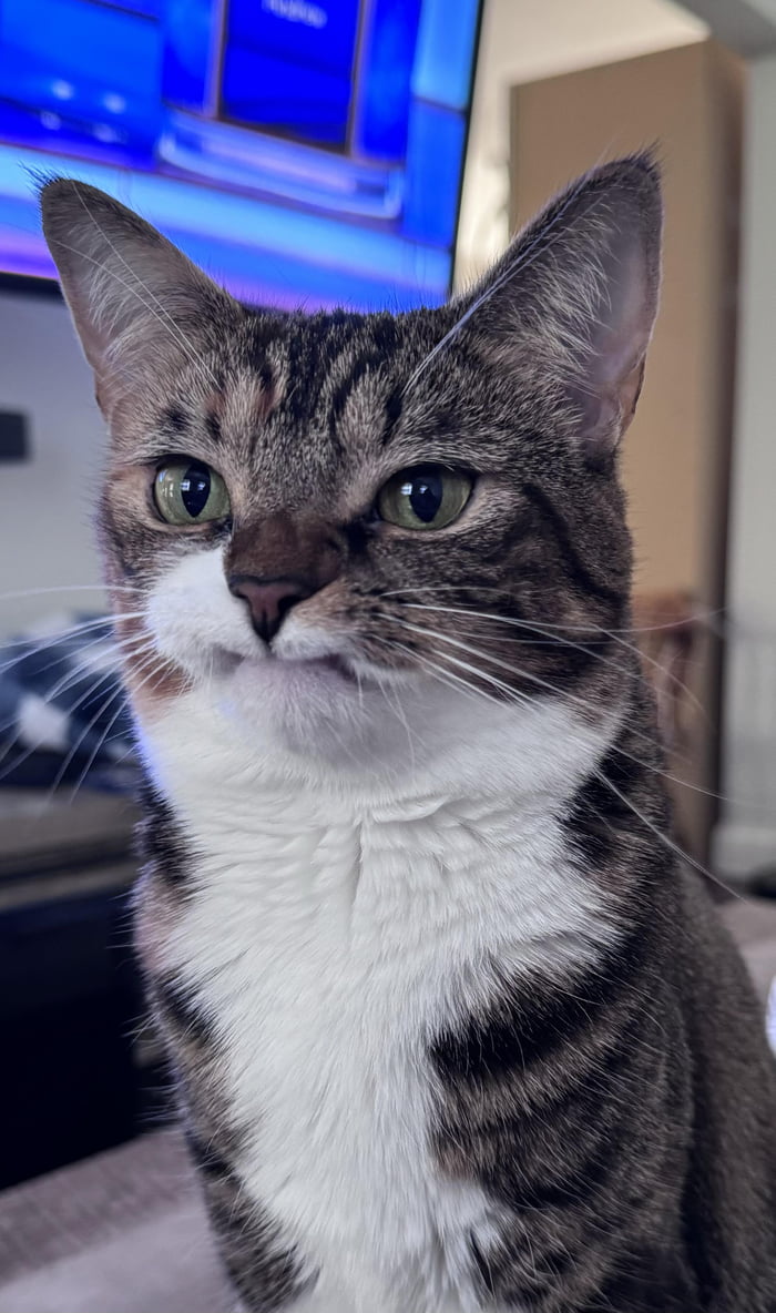 Precious - 1 year after her rise to fame. Still making this face after ...