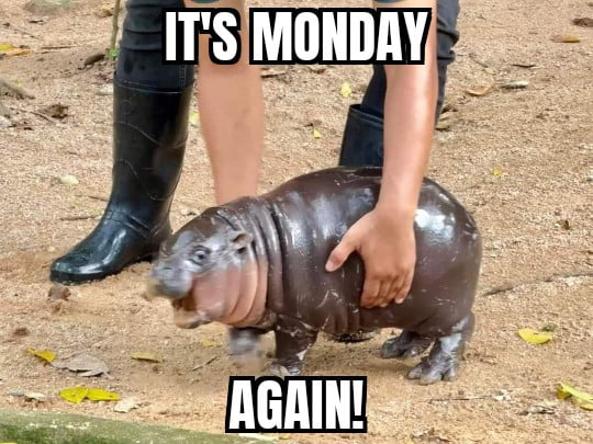 My brain is still in weekend mode. - 9GAG