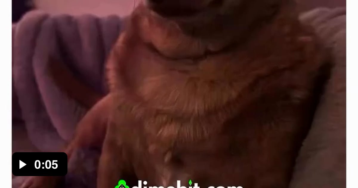 English, explain yourself. - 9GAG