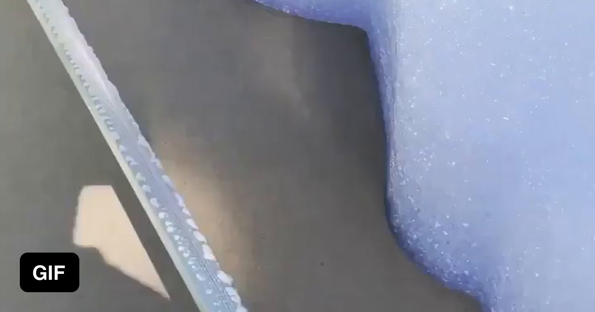 Fly Away, Unicorn Slices! - 9GAG