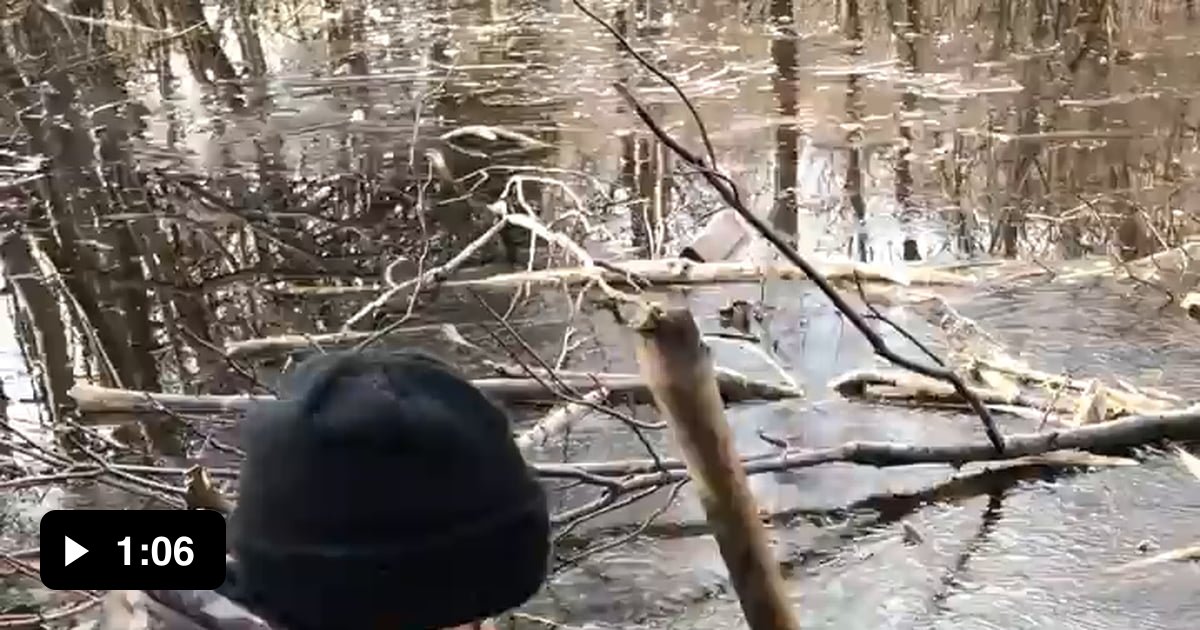 Part Deux: Same kid, different day. Because why not - 9GAG