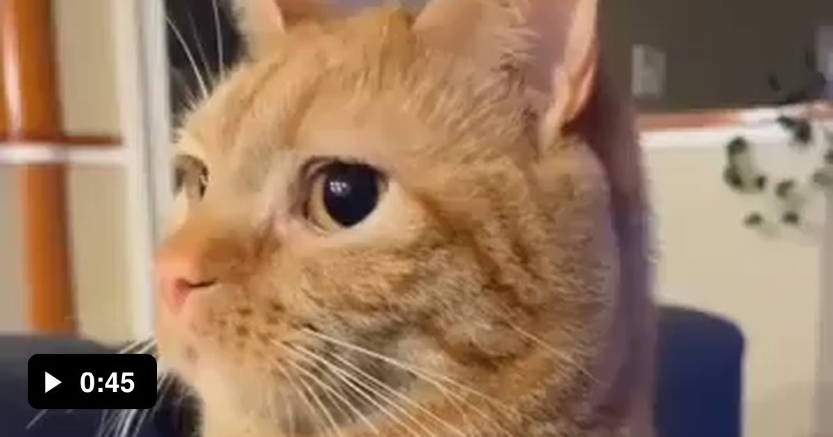 Attack: 100 Accuracy: 0 - 9GAG