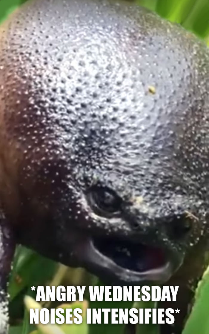 Wednesday intensifies - 9GAG