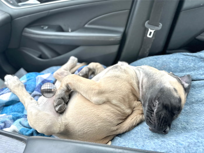 Jelly Roll Back Rolls hallelujah - 9GAG