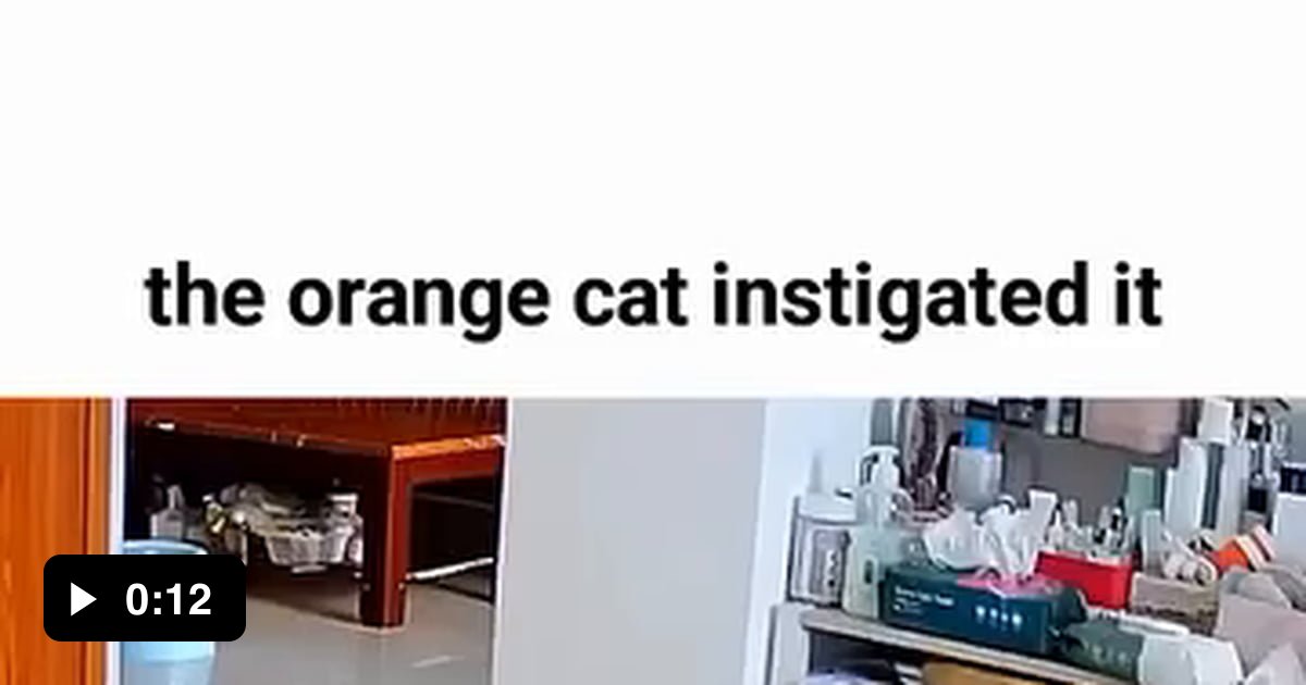 Repost because I love shenanigans - 9GAG