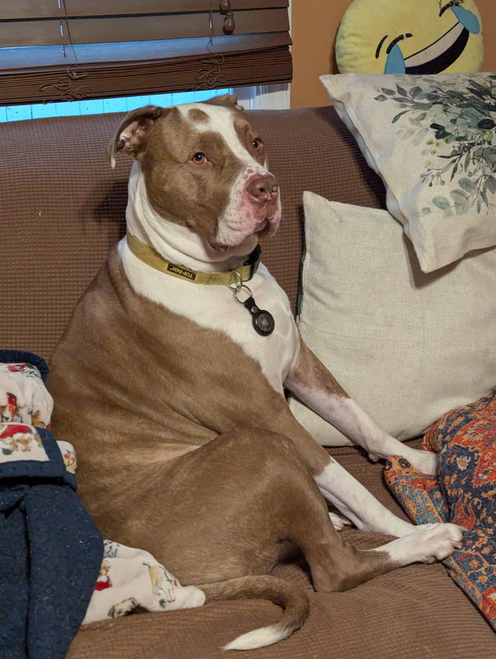 He just sits there like this and watches tv - 9GAG