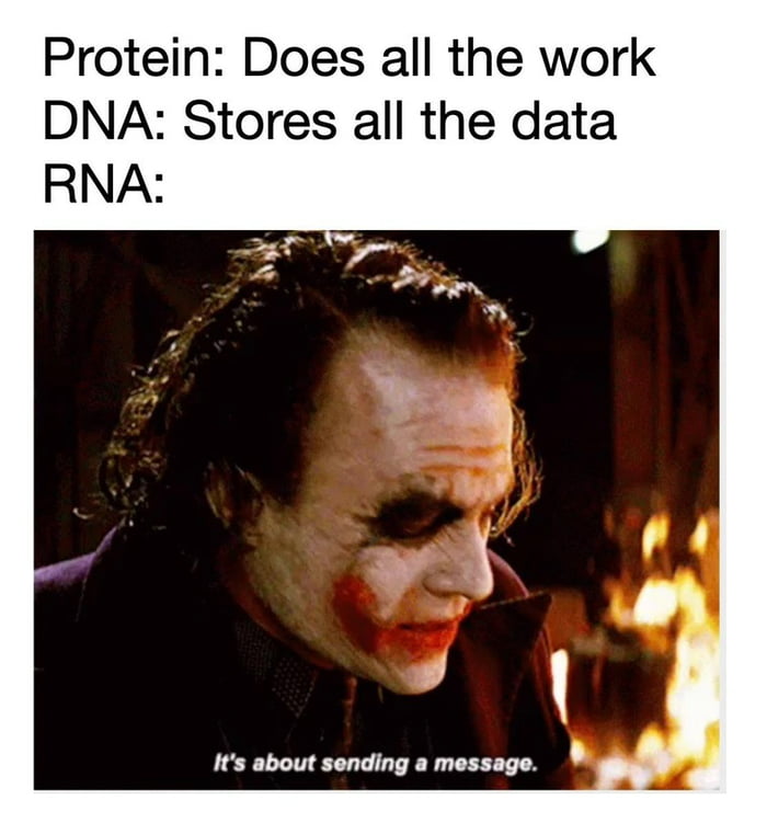 Study this meme to earn one biology course credit at meme university - 9GAG