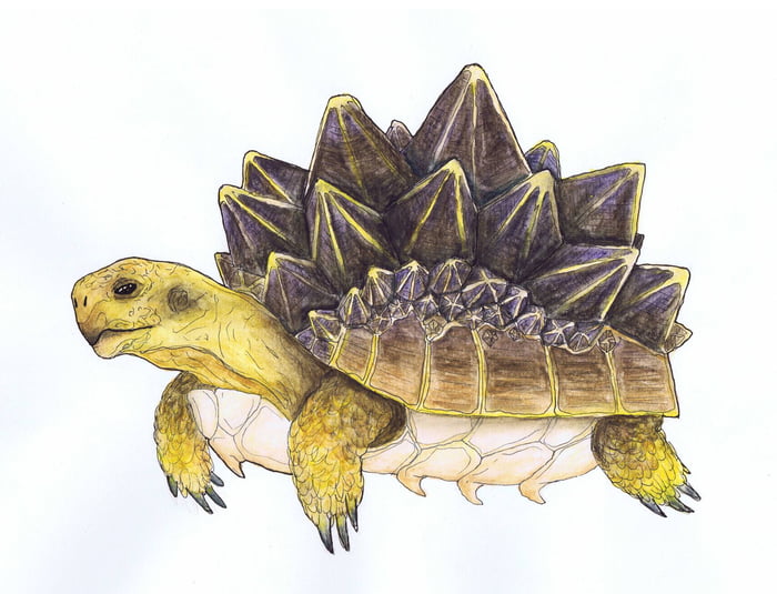 An animal I invented for my world. this is called a "Rigid-Tortoise" - 9GAG