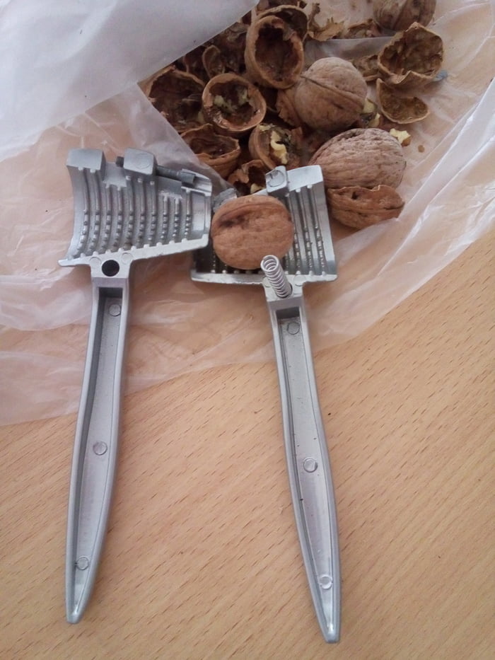 This walnut cracked my nut cracker! - 9GAG