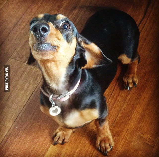 When someone asks if you want the rest of their chips but there's only ...