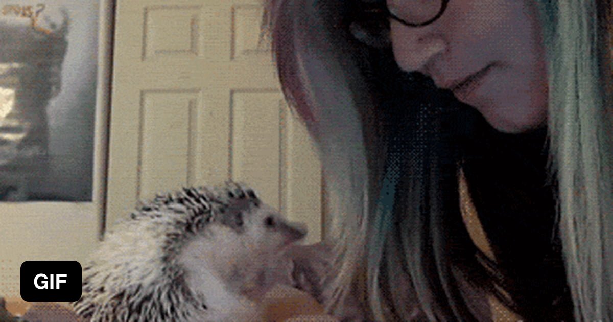 Lemme at 'em! - 9GAG