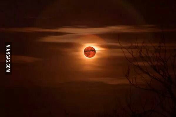 Lunar eclipse from Australia - 9GAG