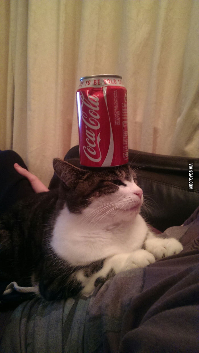 New cup holder invention - 9GAG