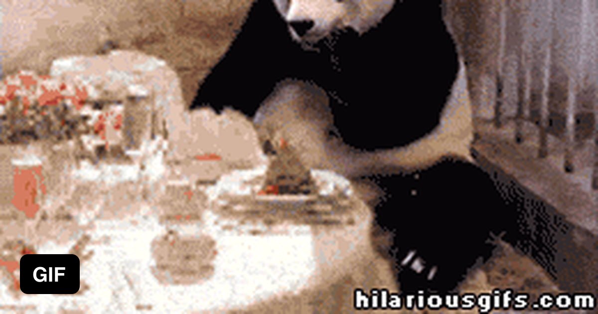 Panda gets the bill - 9GAG
