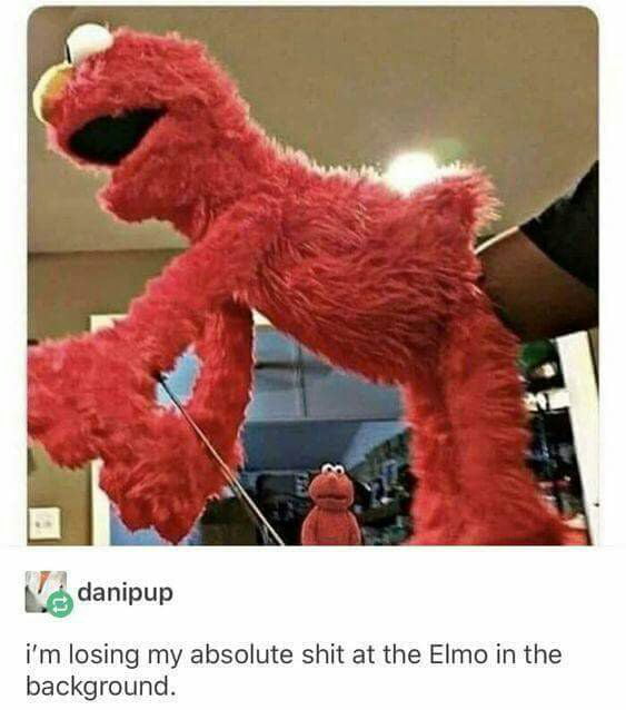 Elmo has seem some shit - 9GAG