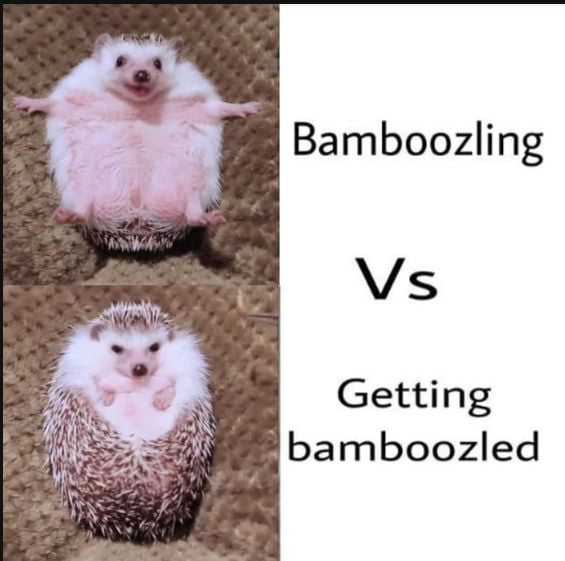 Bamboozled again - 9GAG